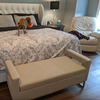 25 Best Bedroom Benches For Sleep Adjacent Sitting 2022