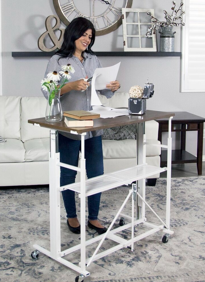 13 Best Budget Standing Desks To Buy In 2024