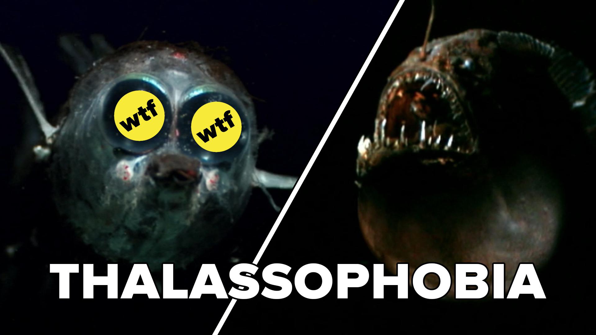 Do You Have Thalassophobia?