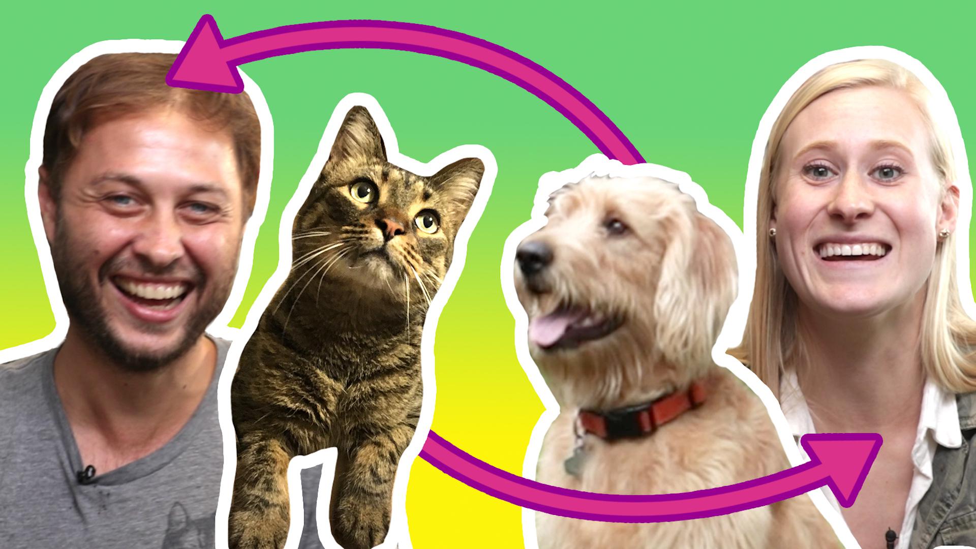 Two Pets Swap Humans For A Weekend