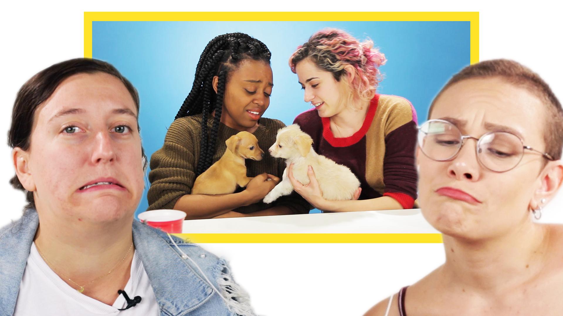 People React To the Cutest BuzzFeed Videos
