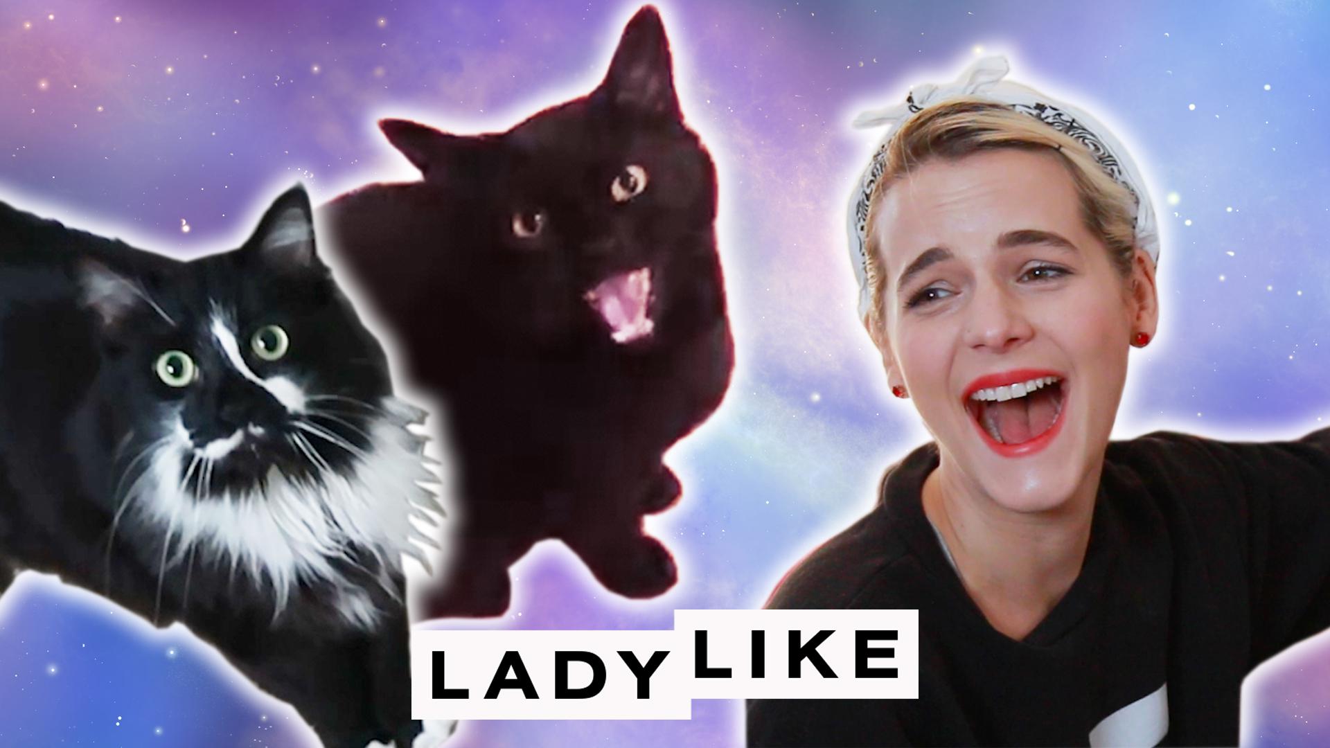 Devin Meets A Pet Psychic • LadyLike