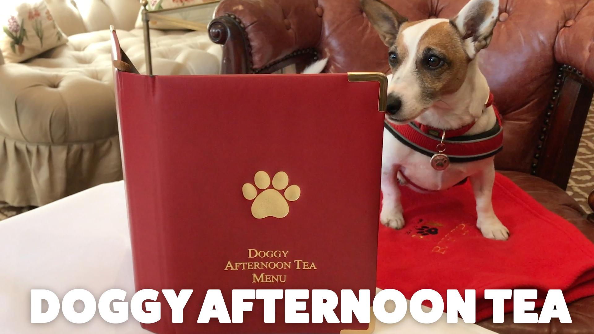 This Afternoon Tea Is Just For Dogs