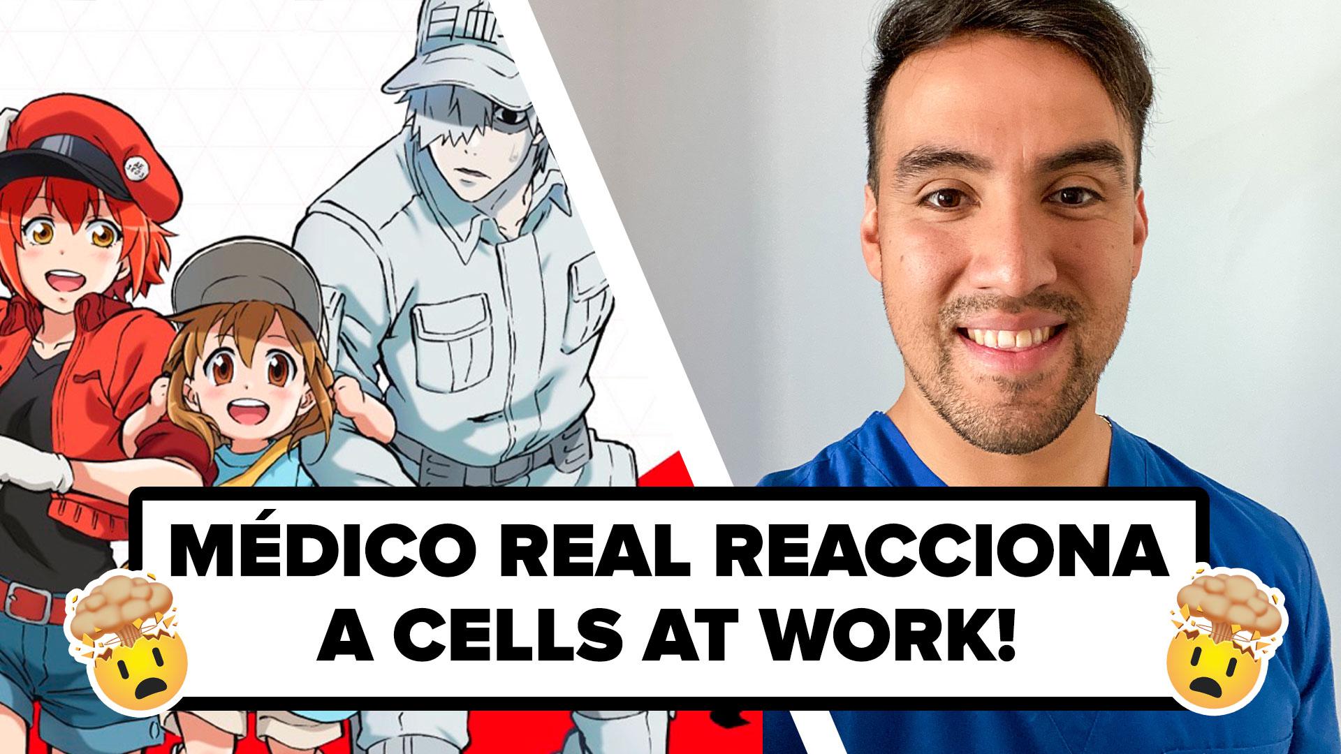 Médico real reacciona a "Cells at Work!"