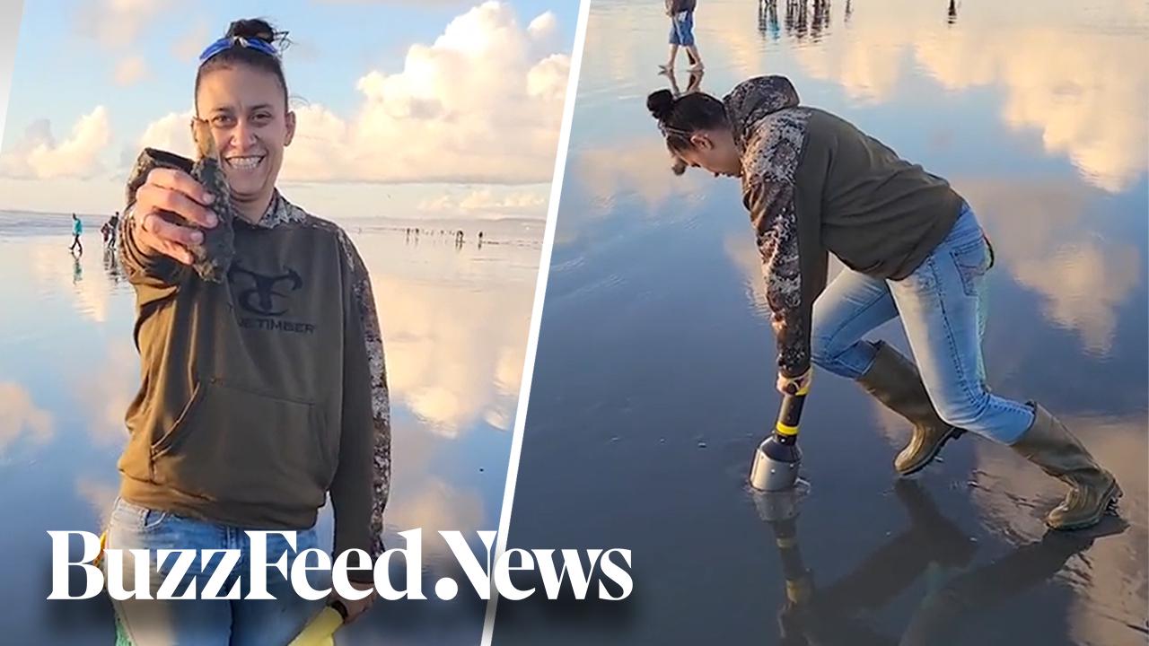 BuzzFeed News on BuzzFeed