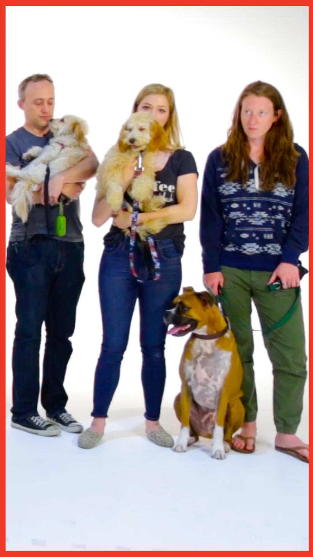Do These People Look Like Their Dogs?