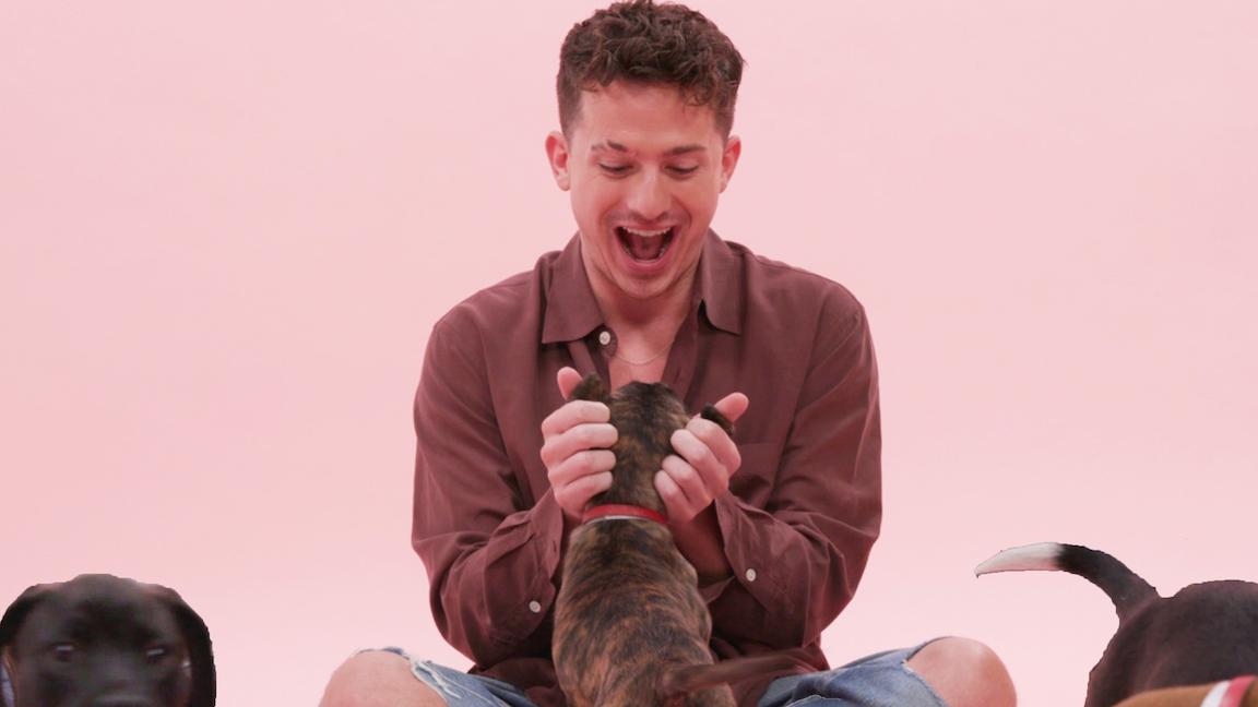 Charlie Puth Plays With Puppies While Answering Questions
