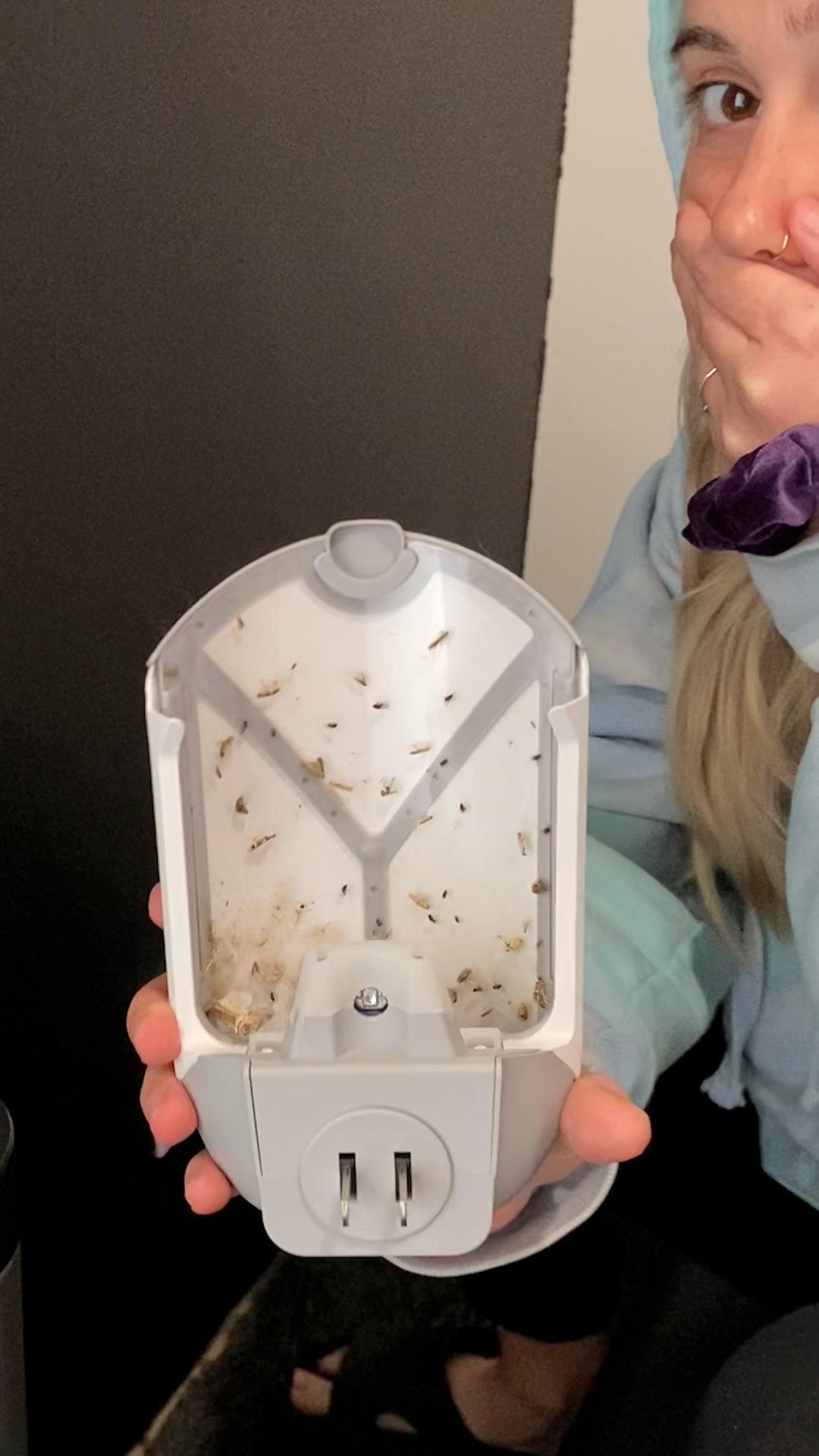 THE ULTIMATE BUG TRAP