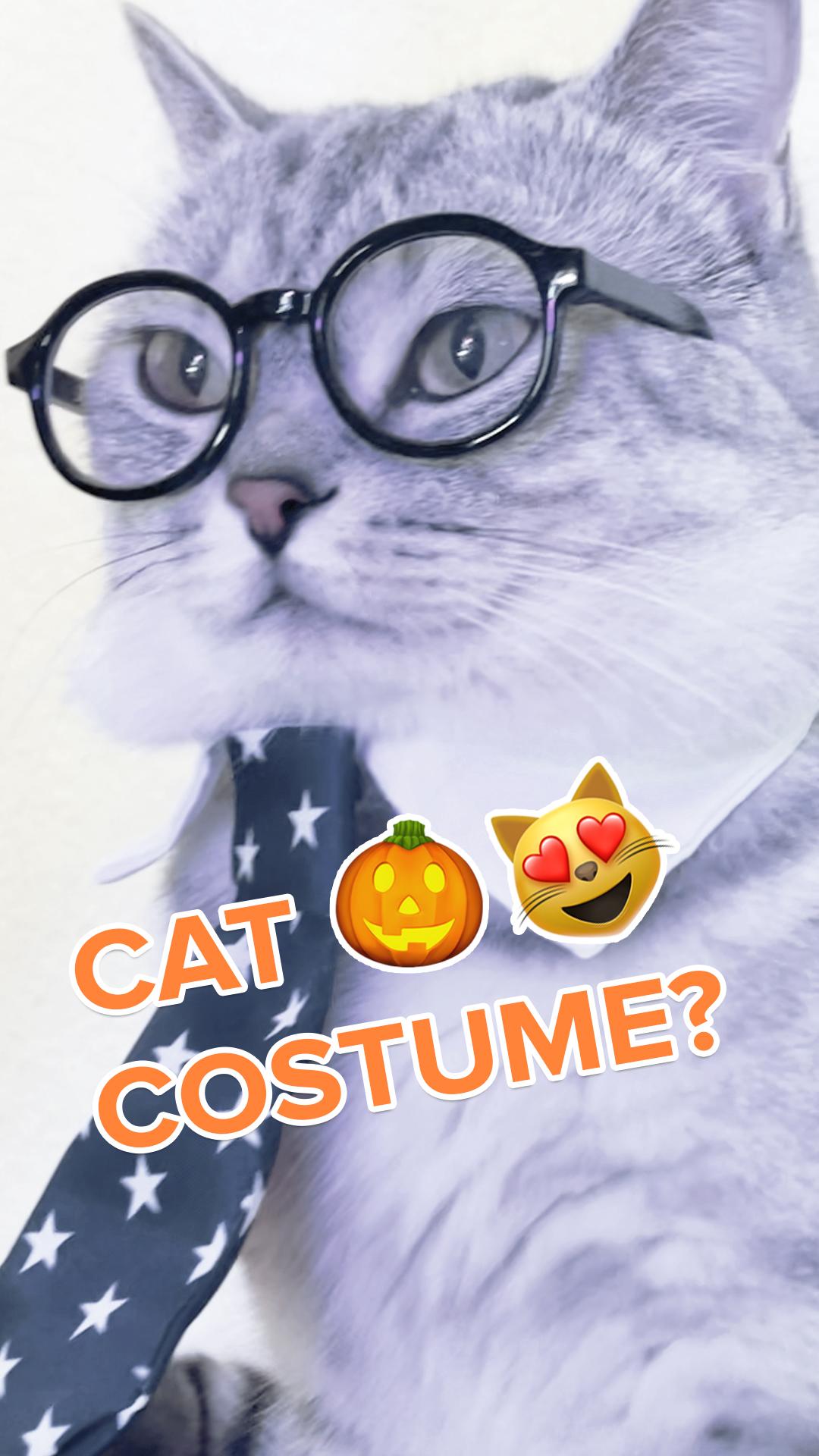 Quick Cat Halloween Costumes
