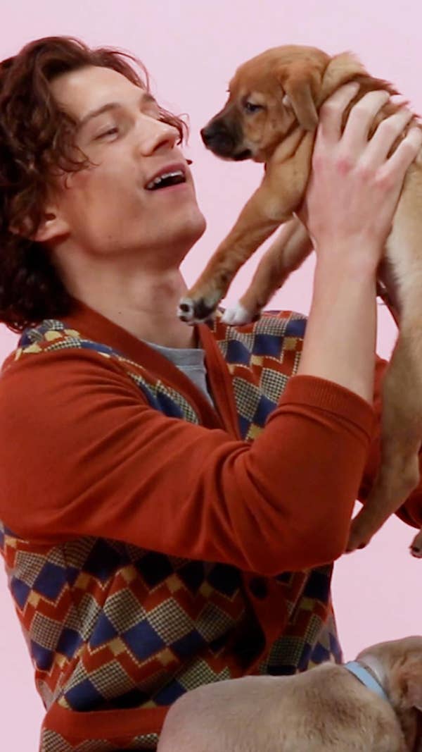 Marvel Puppies Compilation