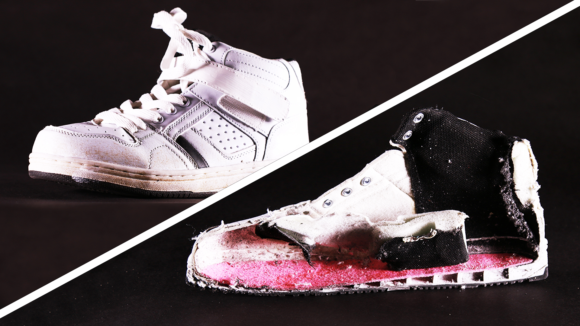 What Objects Look Like Cut In Half