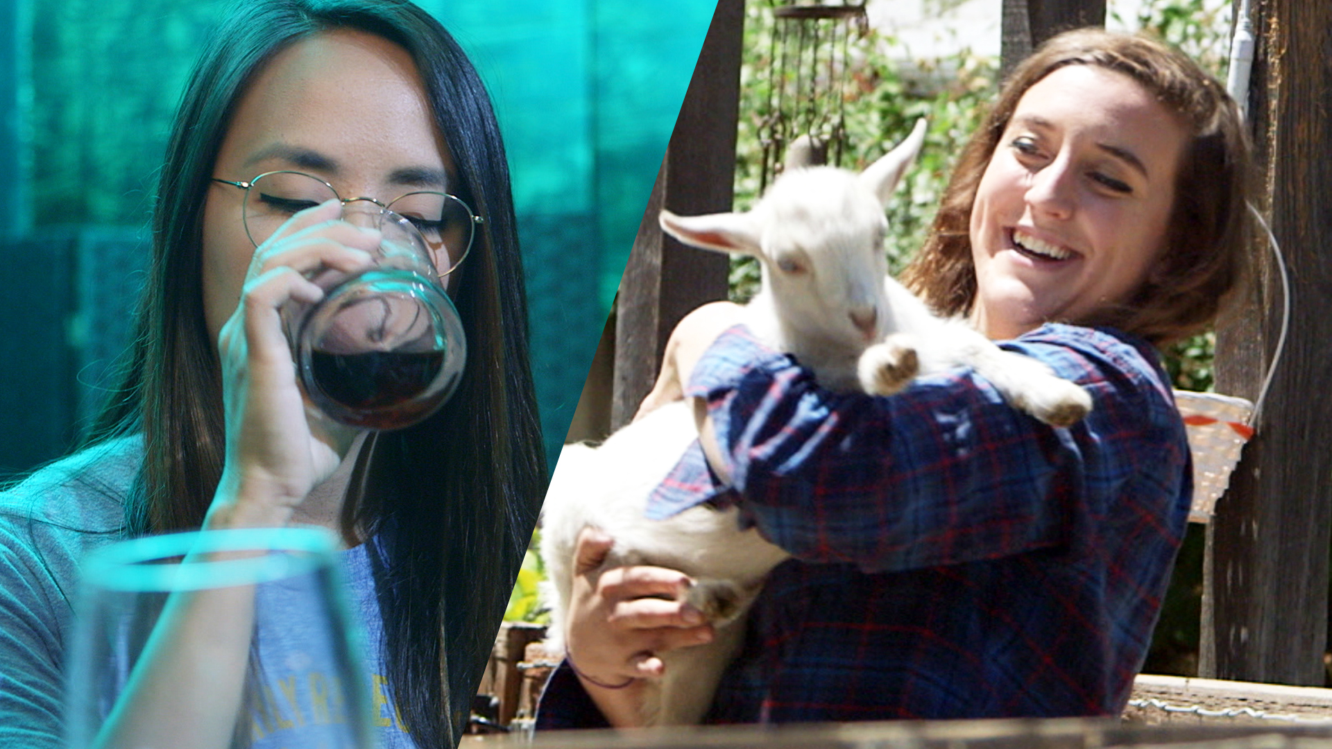 Where Should We Go? • Violet Trip Episode 1