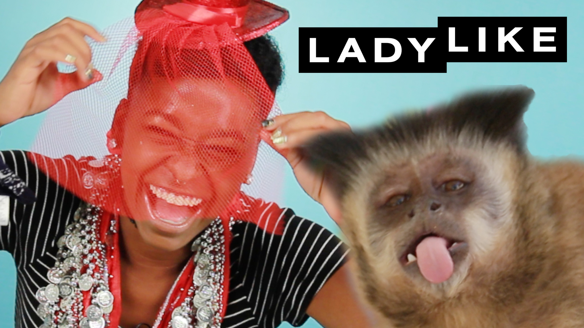 We Let A Monkey Style Us • Ladylike