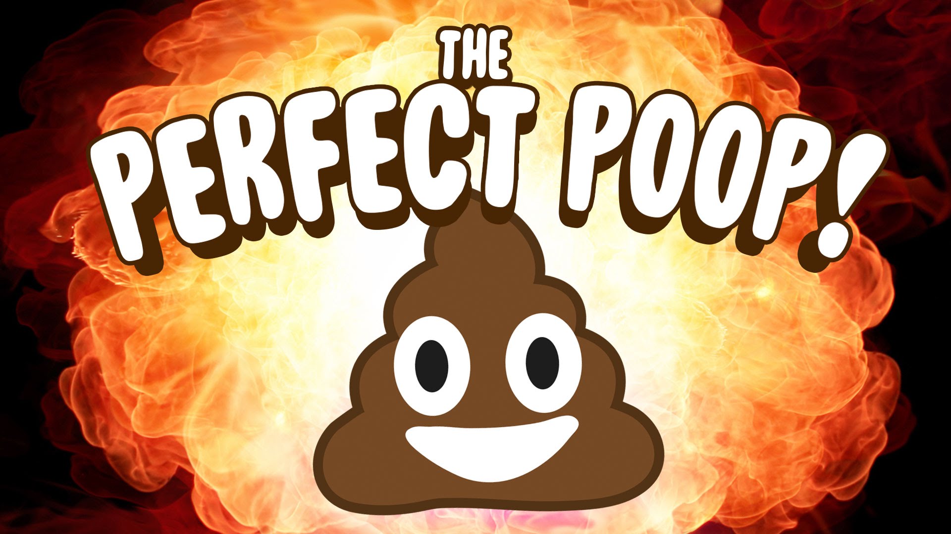 The Perfect Poop