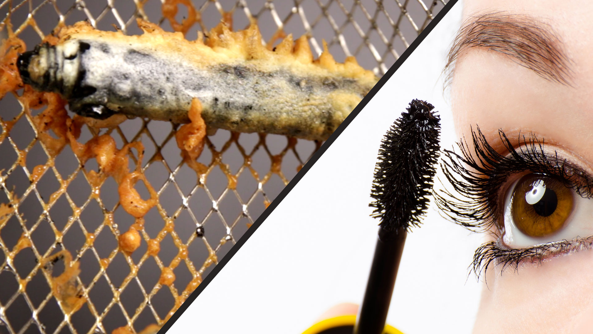 Deep-Frying Random Things