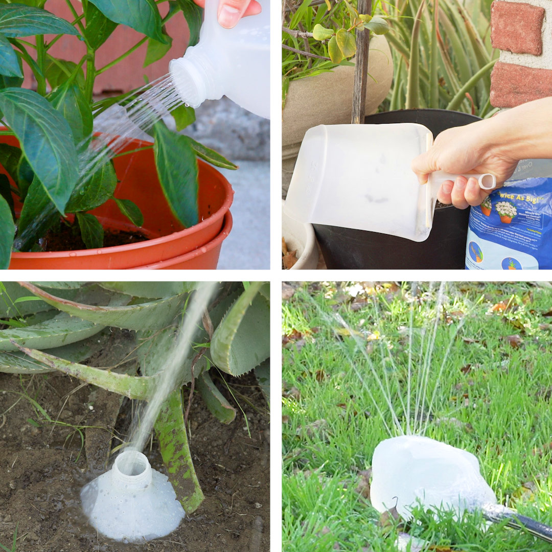 4 Ways To Use Water Jugs In The Garden