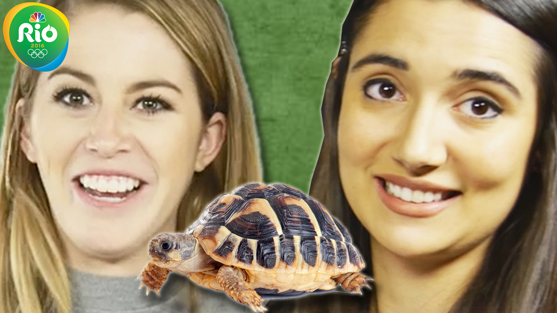 Olympians Vs. Buzzfeed: Turtle Races