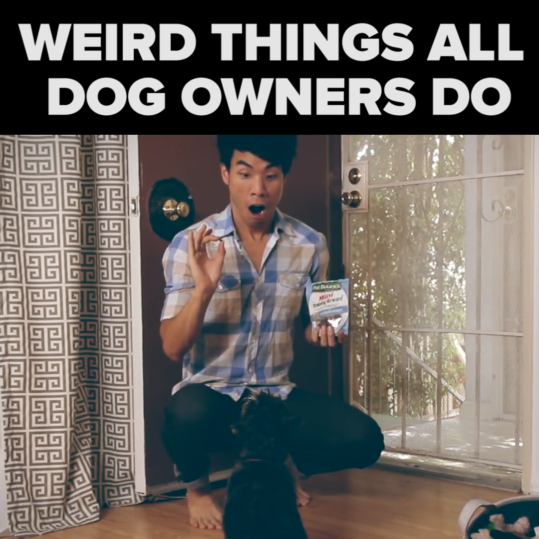Weird Things All Dog Owners Do