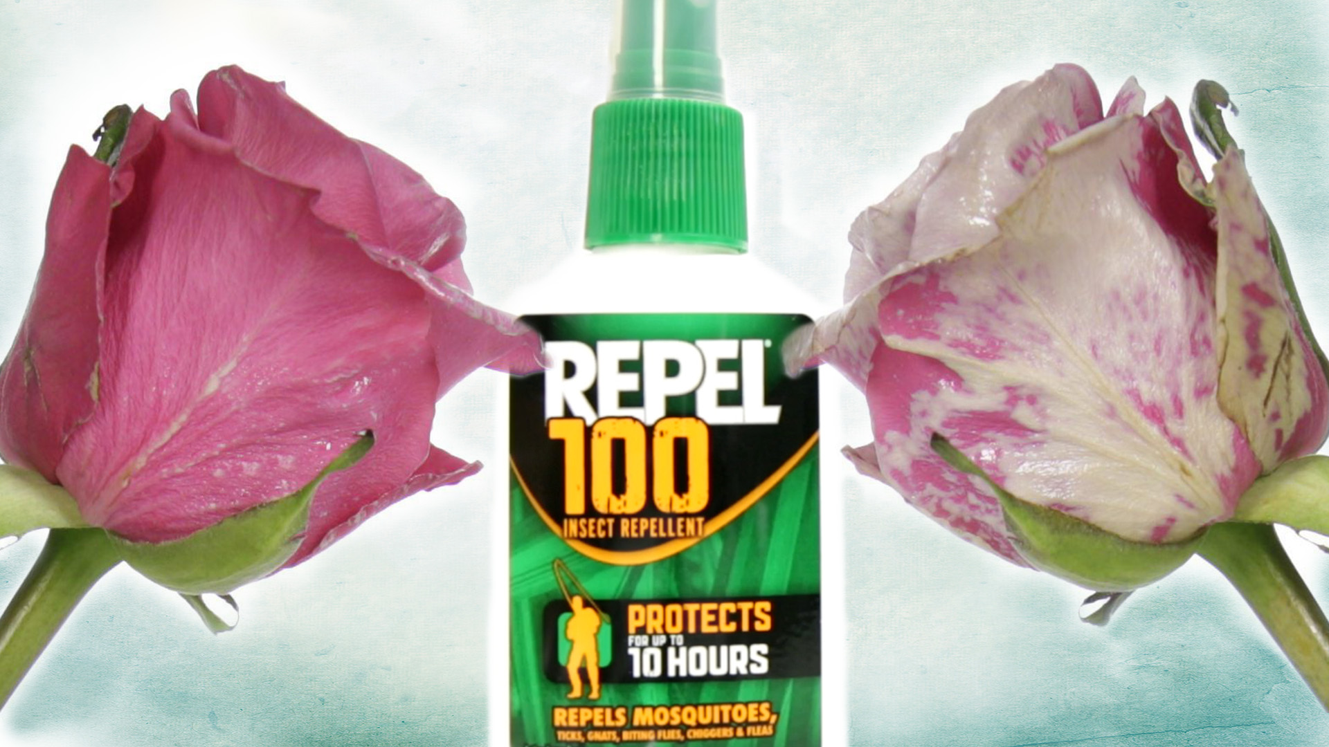 DEET Bug Spray Vs. Everyday Objects